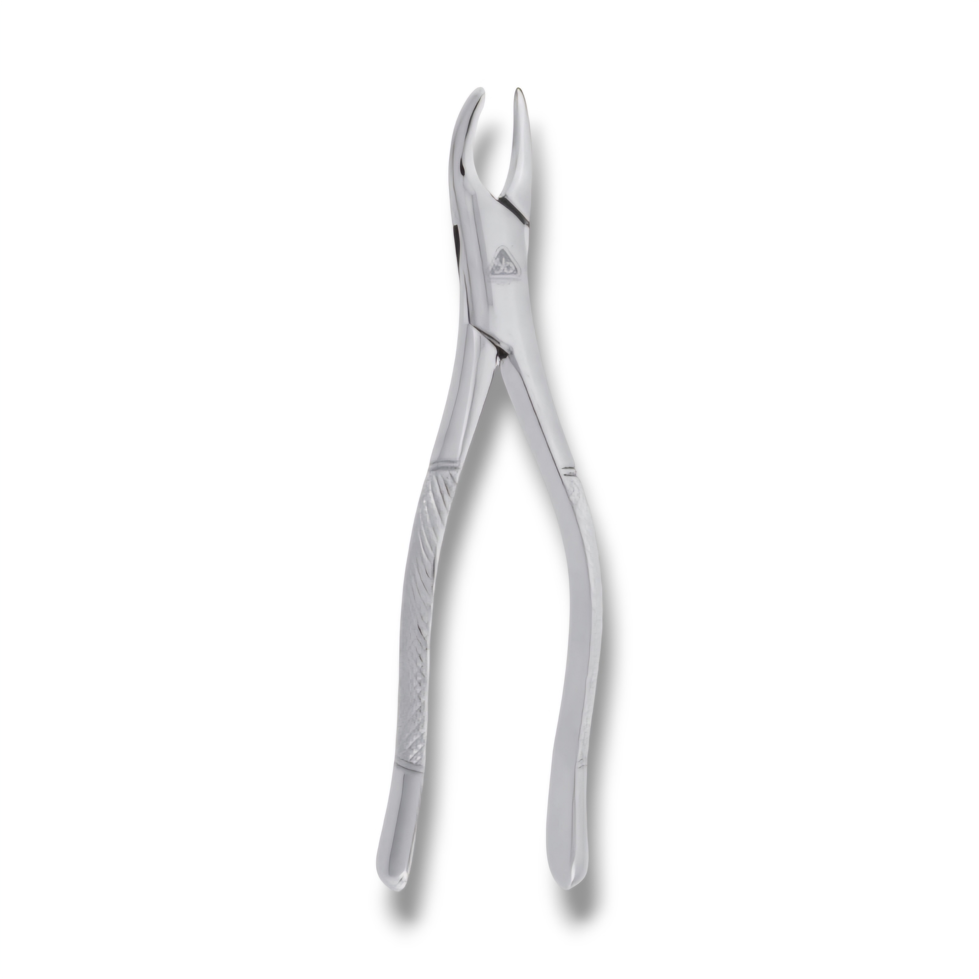 FORCEP ADULTO 151 6B